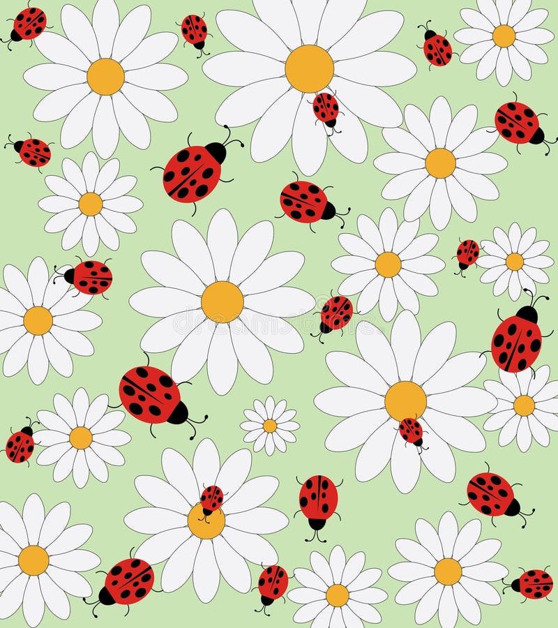 Daisy Vector Illustration Hand Drawn Painted Stock Vector ...