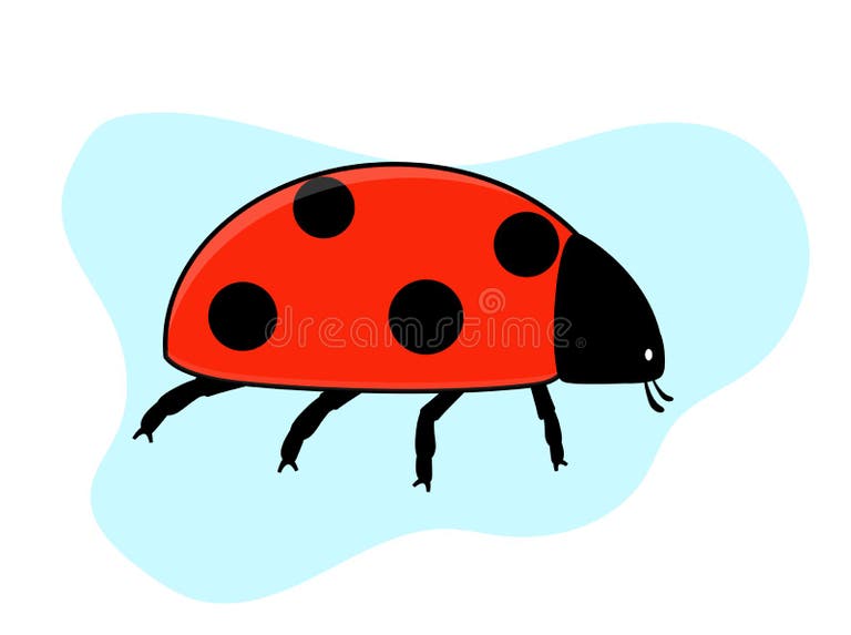 Ladybird Insect Vector stock vector. Illustration of small - 94295254