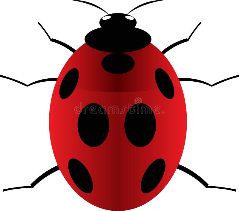 Ladybug Seven Dots Stock Illustrations – 17 Ladybug Seven Dots Stock ...