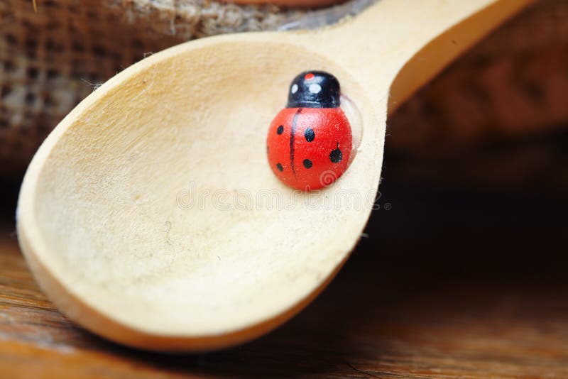 Ladybird on spoon stock image. Image of magnification - 19004611