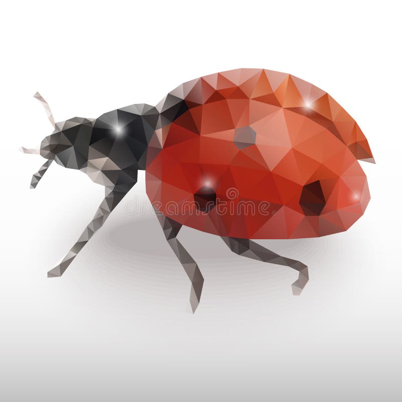Ladybird on White Background Stock Vector - Illustration of background ...