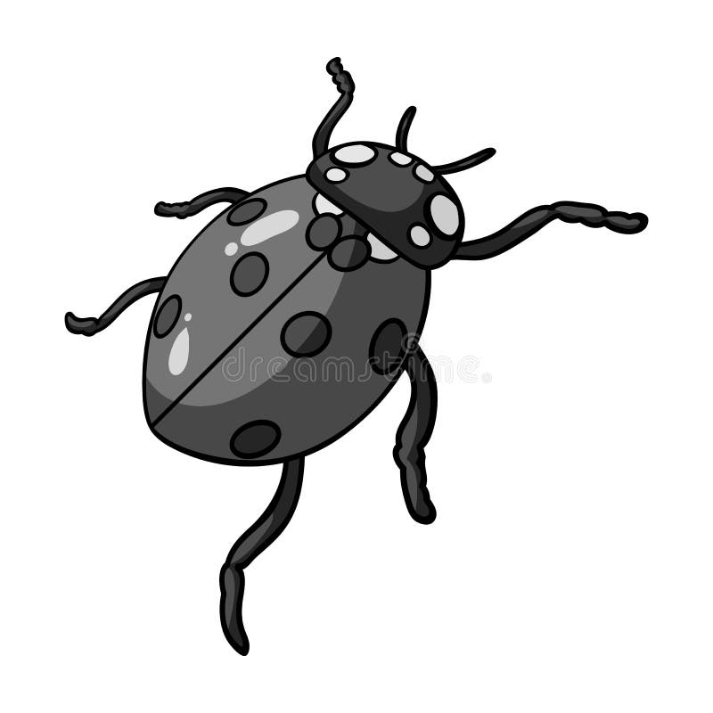 Ladybug is an Arthropod.the Insect Beetle,ladybug Single Icon in ...