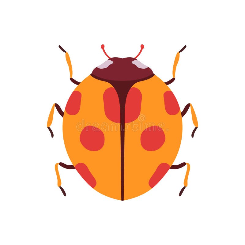 Red Beetle Insect, Bug Top View Vector Illustration Stock Vector ...