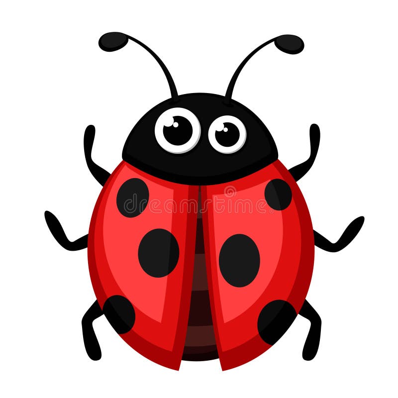 Red Ladybug Top View Stock Illustrations – 132 Red Ladybug Top View ...