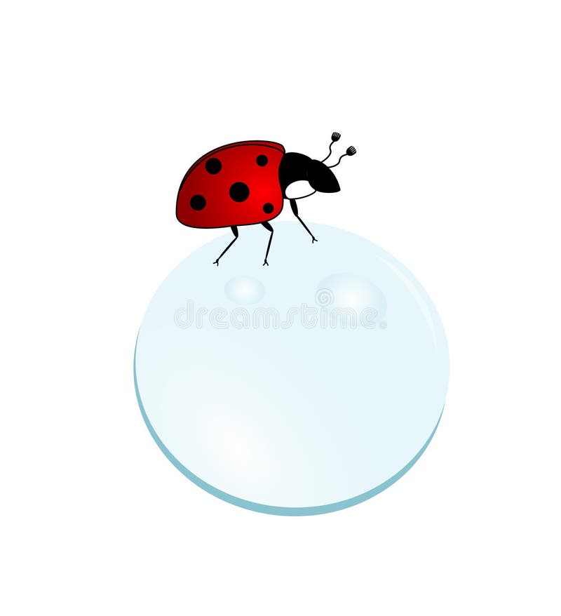 Ladybug on a bubble stock vector. Illustration of drawing - 11211455