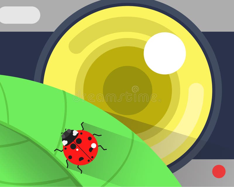 Ladybug with Camera Flat Design Stock Vector - Illustration of ...