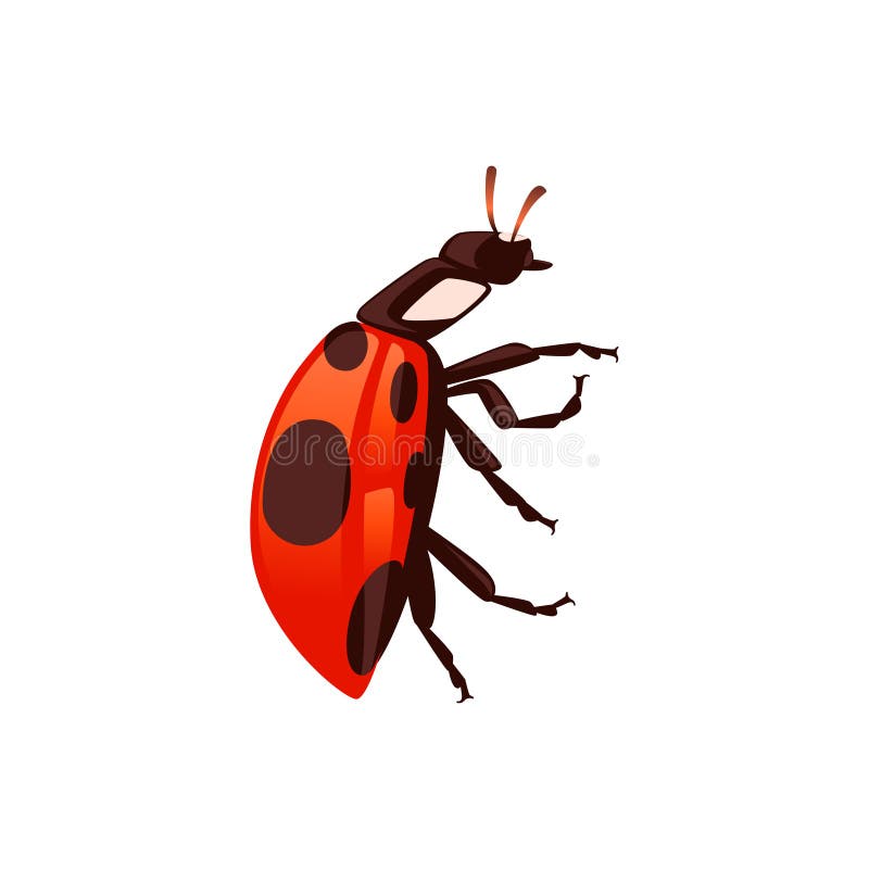 Lady Bug Painting Stock Illustrations – 310 Lady Bug Painting Stock ...