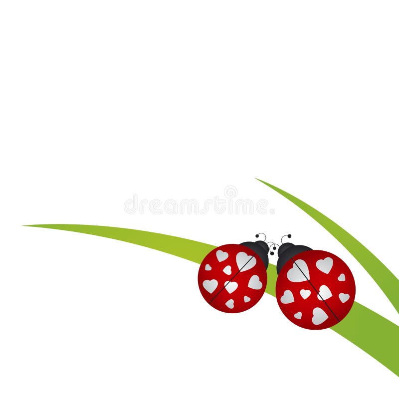 Marco del Ladybug ilustración del vector. Ilustración de lindo - 19296505