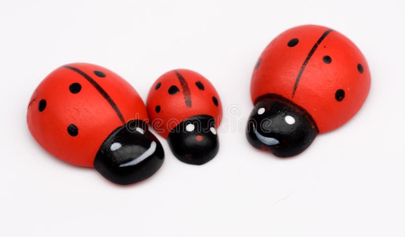 Ladybug s family stock photo. Image of outdoors, beauty - 4202538