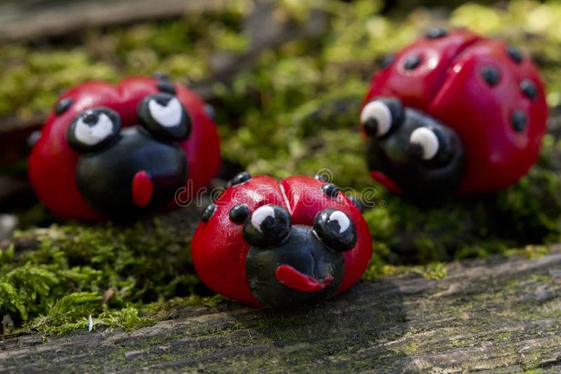 Ladybug family stock image. Image of macro, environmental - 5727085