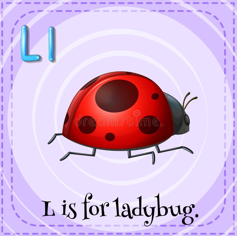 Flashcard Ladybug Stock Illustrations – 105 Flashcard Ladybug Stock ...