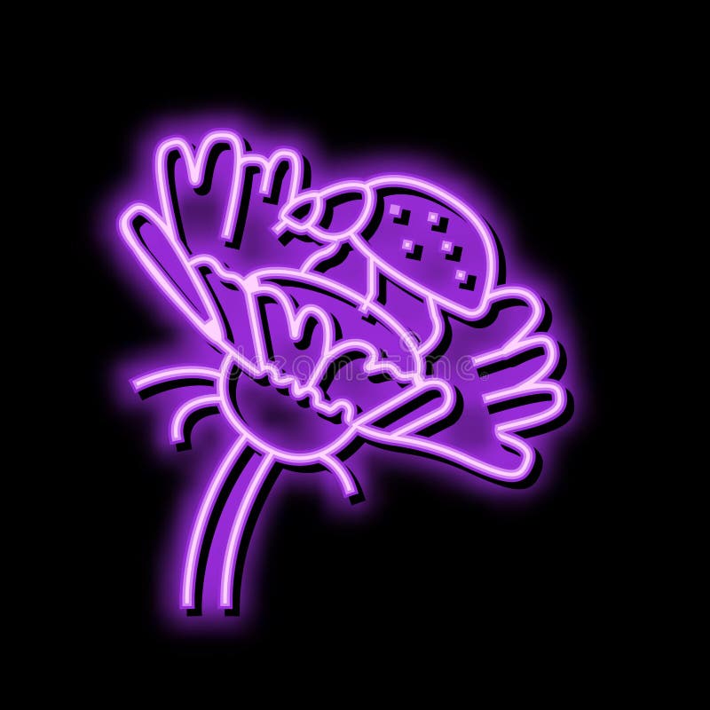 Ladybug Flower Spring Neon Glow Icon Illustration Stock Vector ...