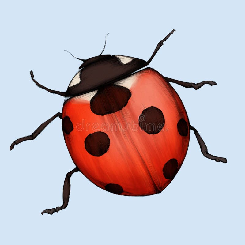 Ladybug stock illustration. Illustration of ladybug, garden - 55359664