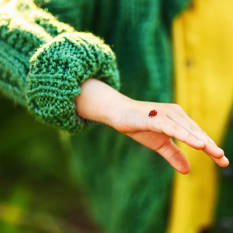 Ladybug in hands. stock image. Image of smile, playing - 72543569