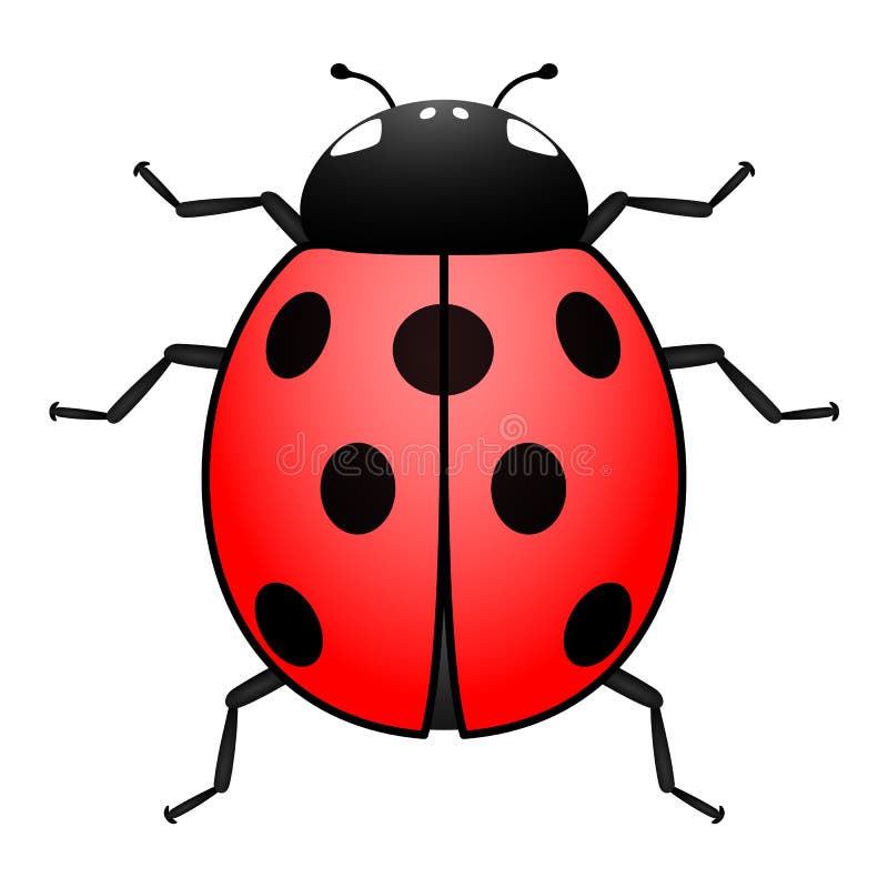 Ladybug illustration stock illustration. Illustration of play - 31660213