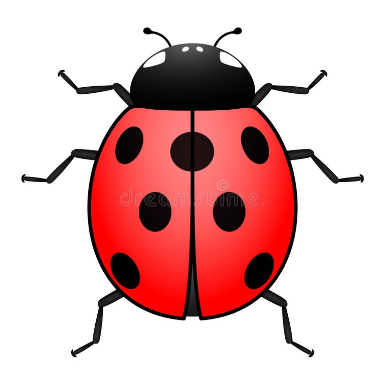 Ladybug illustration stock illustration. Illustration of play - 31660213