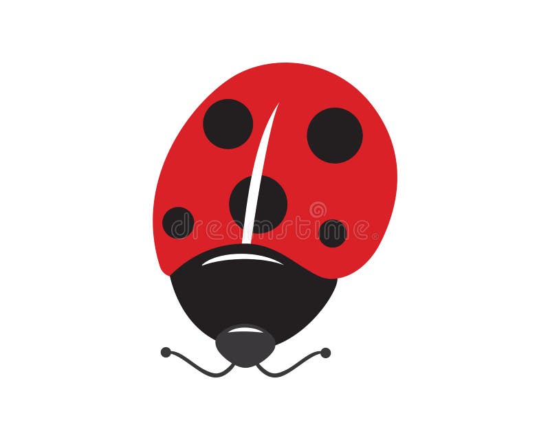 Ladybug Illustration Visualized with Simple Touch Stock Vector ...