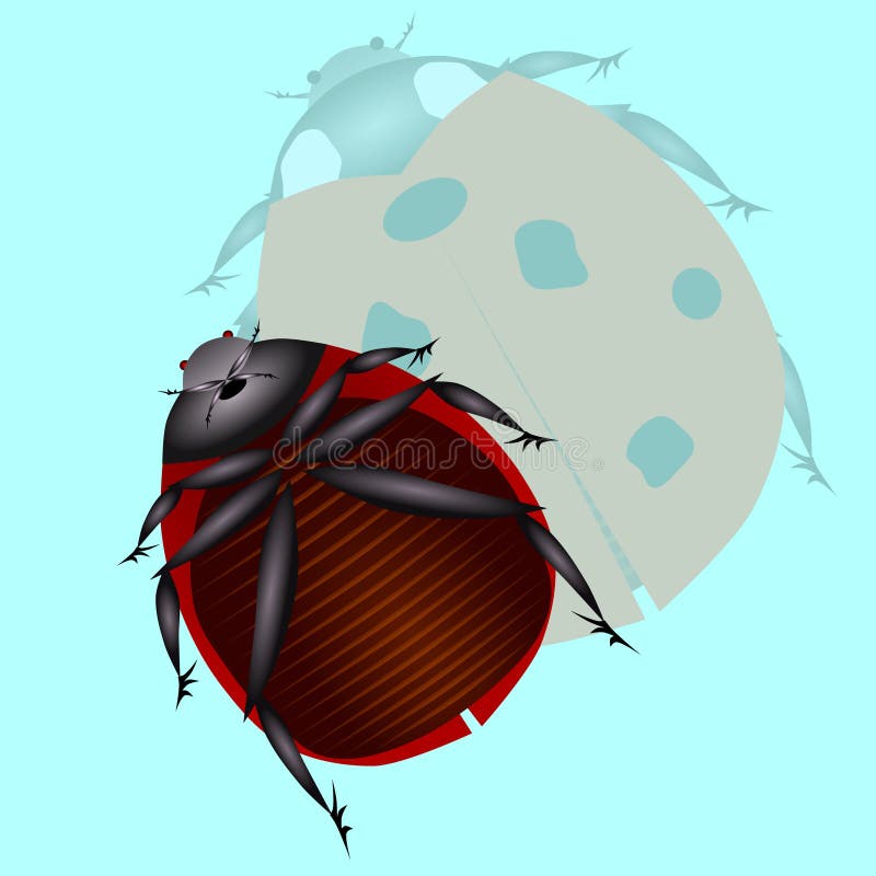 Ladybug Inverted Stock Illustrations – 2 Ladybug Inverted Stock ...