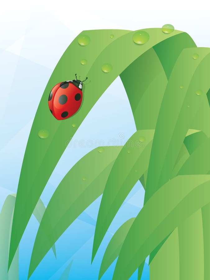 LadyBug Lady Bug on a Leaf stock vector. Illustration of wildlife ...