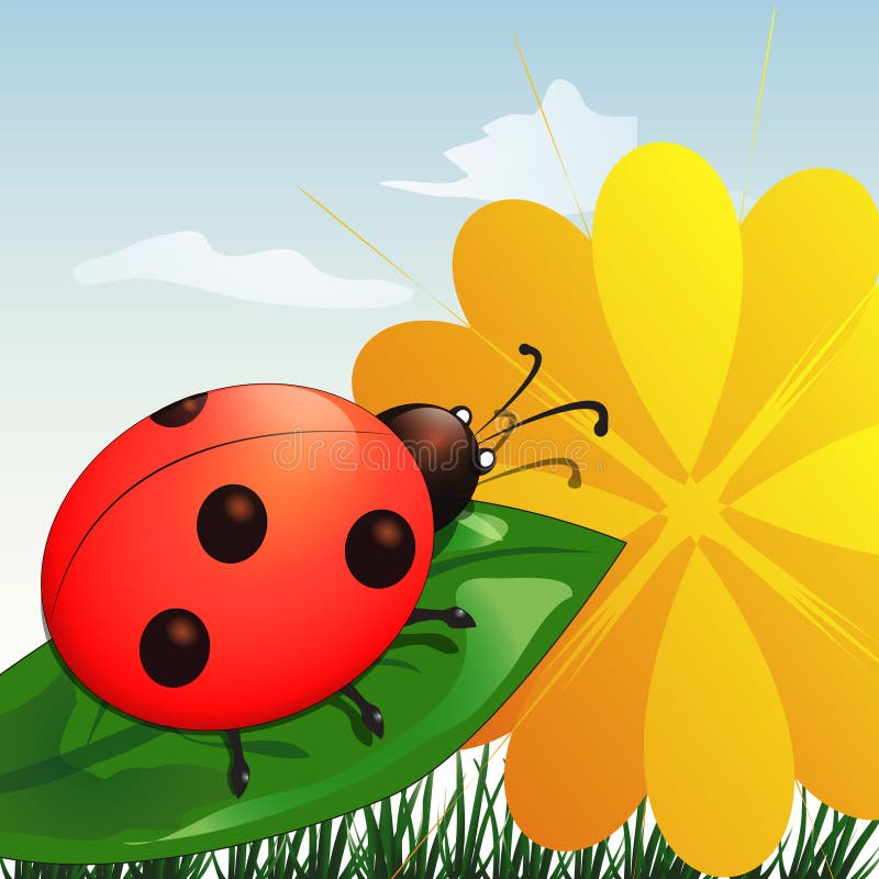 Ladybug on leaf stock vector. Illustration of spotty, graphic - 5526093