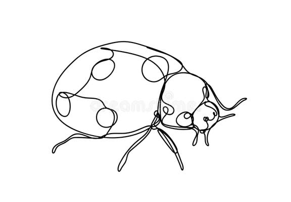 Ladybug Line Art, Line Drawing Style, Vector Illustration. Stock ...