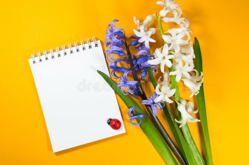 Ladybug Color Page Stock Photos - Free & Royalty-Free Stock Photos from ...