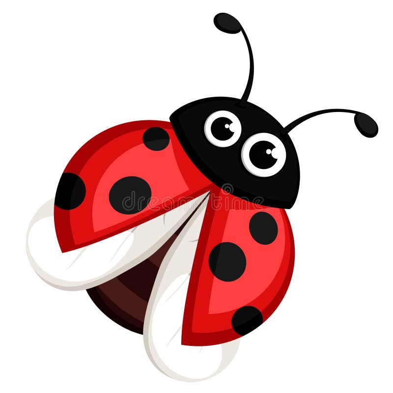Ladybug top view stock vector. Illustration of botanical - 151633471