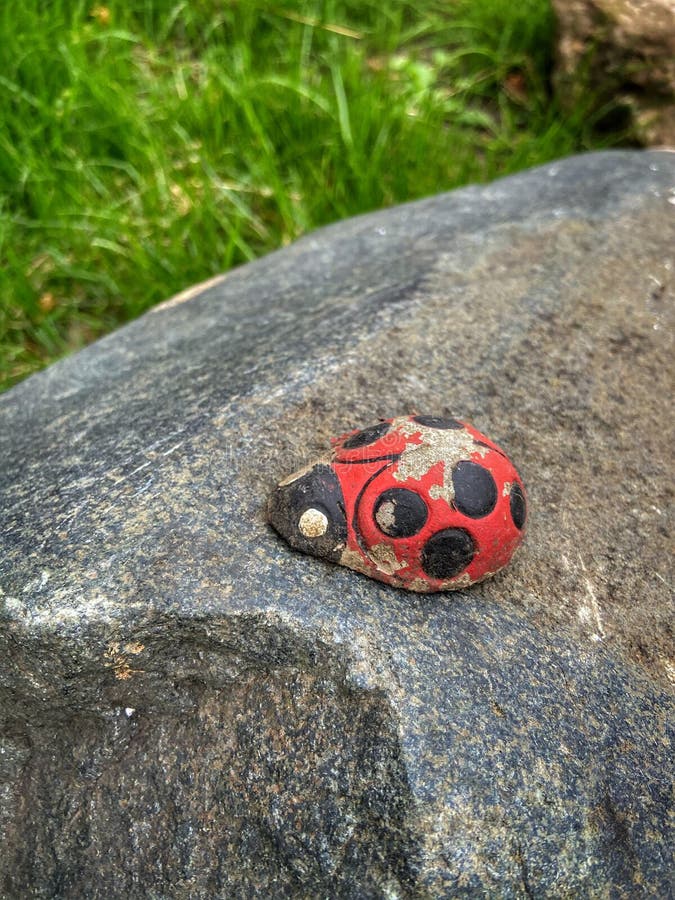 Rock Painted To Look Like a Ladybug. Stock Image - Image of random ...
