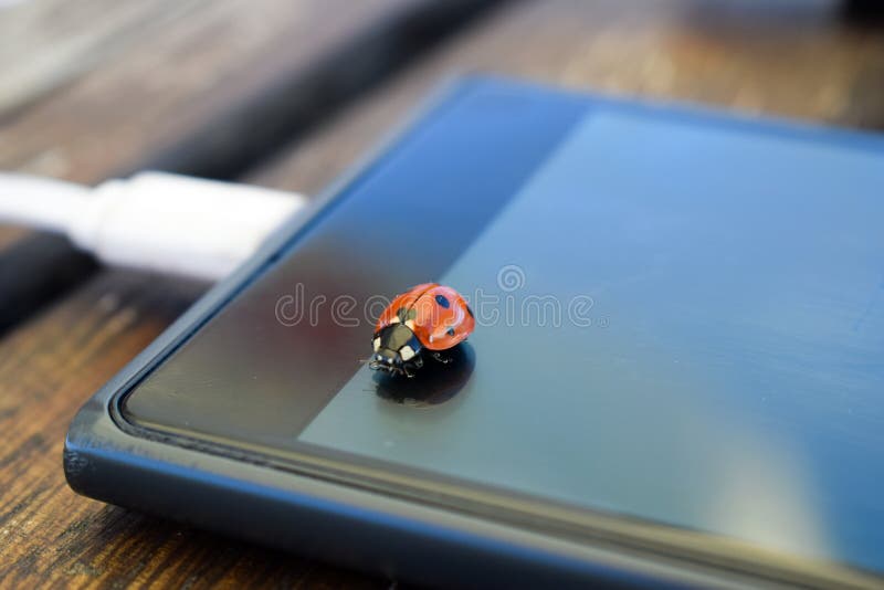 Ladybug on the phone stock image. Image of table, wood - 82617607