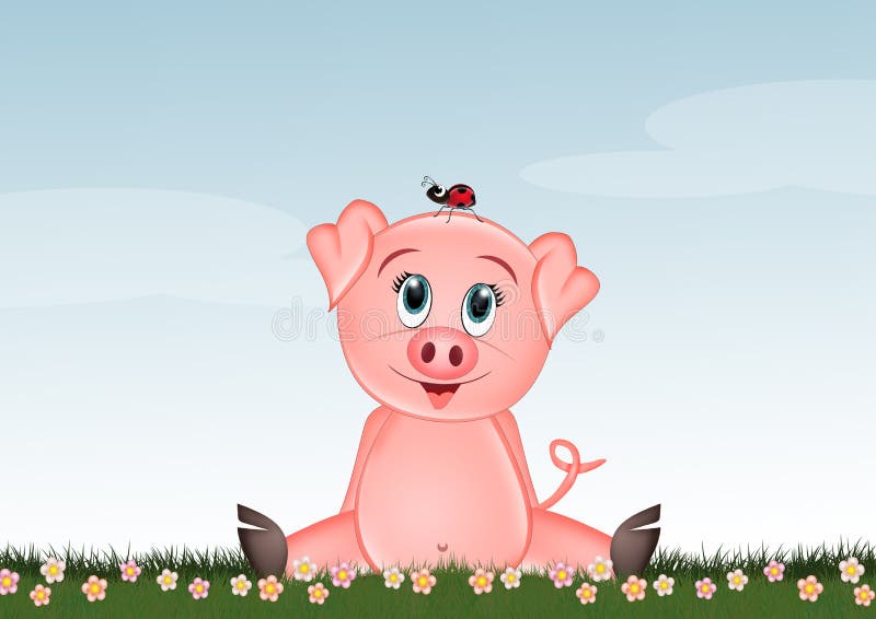 Ladybug on pig stock illustration. Illustration of nature - 243077295