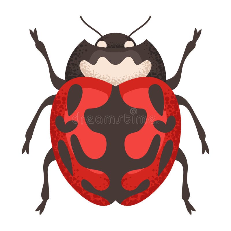 Ladybug stock vector. Illustration of small, defect - 332880801