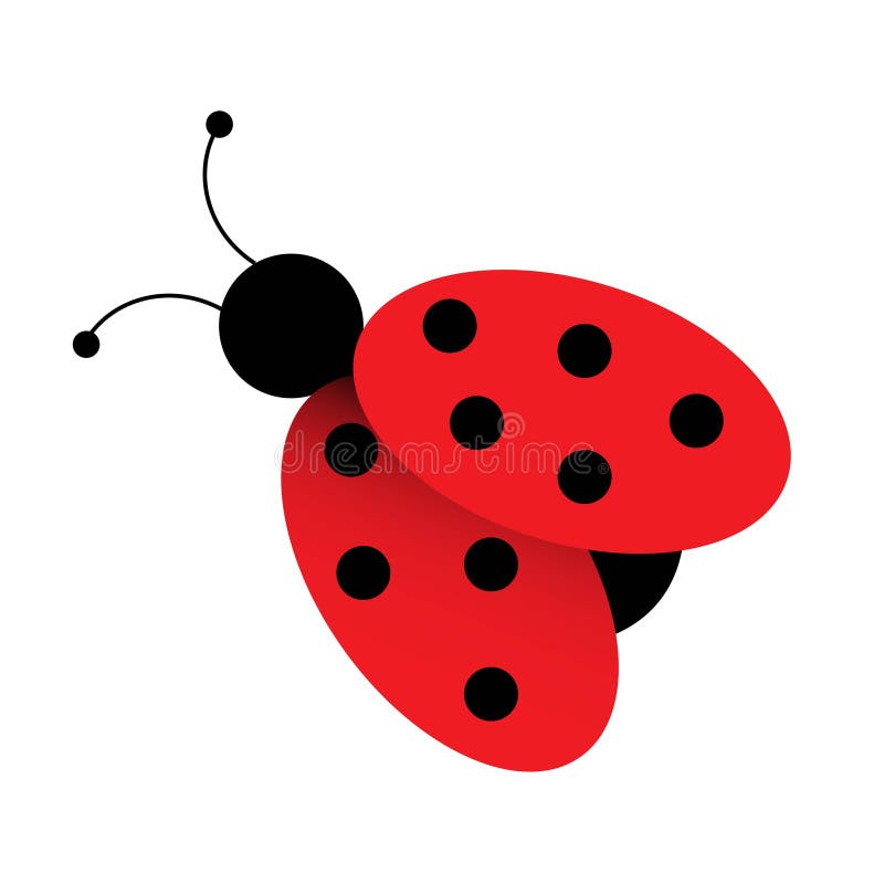 Ladybug, Red Beetle Vector Graphic. Isolated on White Background Stock ...