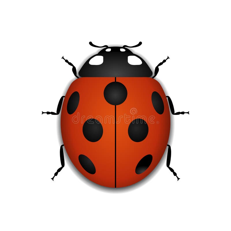 Circle Bug Stock Illustrations – 8,325 Circle Bug Stock Illustrations ...
