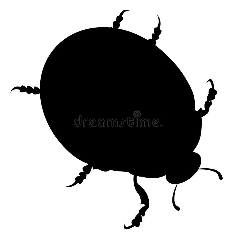 Realistic Ladybug Shadow Stock Illustrations – 79 Realistic Ladybug ...