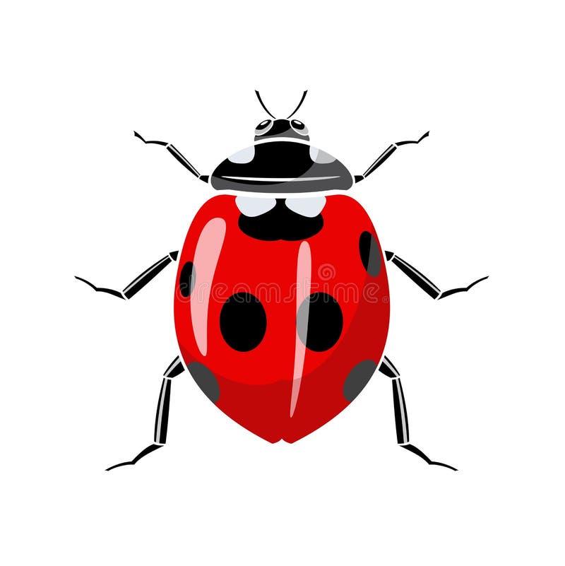 Point Ladybug Stock Illustrations – 310 Point Ladybug Stock ...