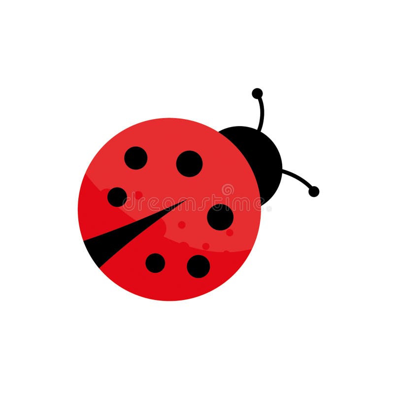 Ladybug - Vector Illustration Stock Vector - Illustration of ladybird ...