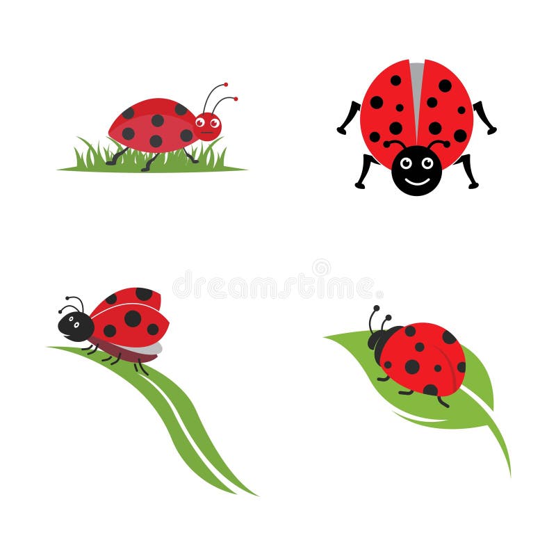 Ladybug Vector. Ladybug on White Background Stock Illustration ...