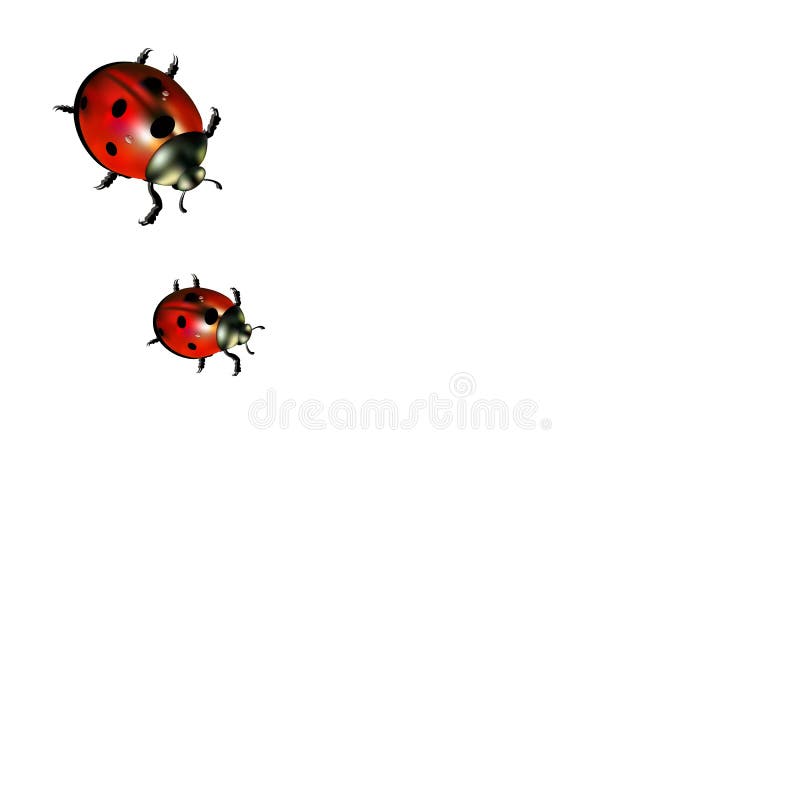 Ladybug Vector Red Illustration Colored Beetle Stock Vector ...