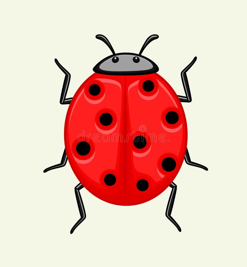Ladybug Vector stock vector. Illustration of bird, poisonous - 94295231