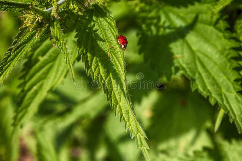 What Color Looks Good Street Stock Photos - Free & Royalty-Free Stock ...