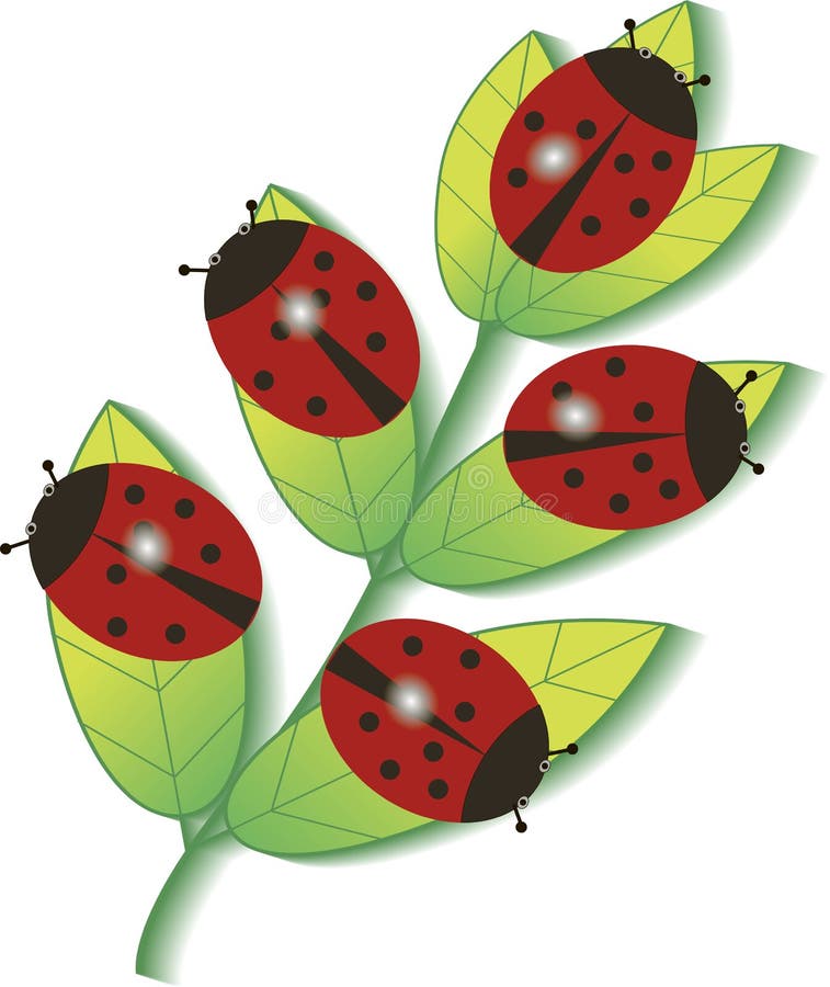 Five Ladybugs on Green Leaves Stock Vector - Illustration of drawing ...