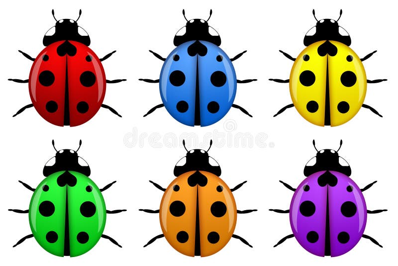 Ladybugs in Different Colors Isolated Stock Illustration - Illustration ...