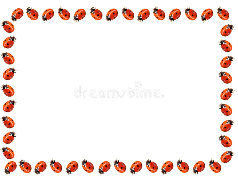 1,175 Insect Frame Border Stock Photos - Free & Royalty-Free Stock ...
