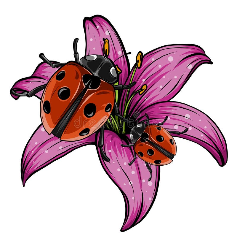 Ladybugs with red flower stock vector. Illustration of love - 23774196