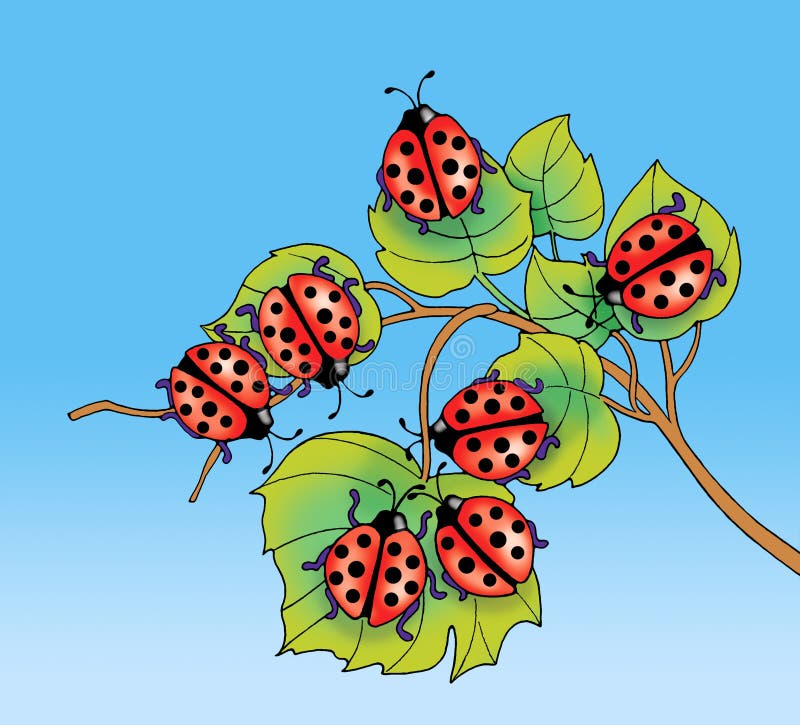 Ladybugs on leaves stock illustration. Illustration of piece - 75165119