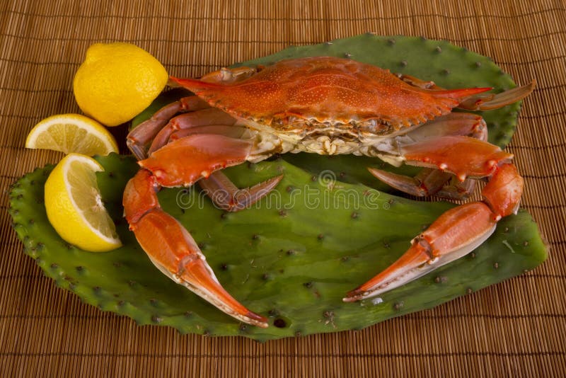 Lagad mat krabba. fotografering för bildbyråer. Bild av maryland - 32778613