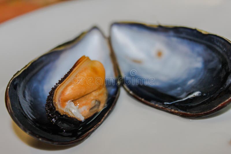 Lagad mat mussla arkivfoto. Bild av mussla, flotta, öppnat - 128843712
