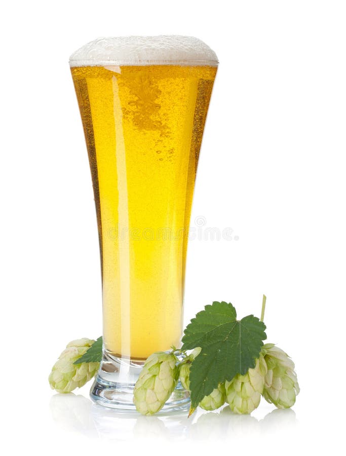 Lager Beer Cup and Hop Branch Stock Photo - Image of alcohol, brewing ...