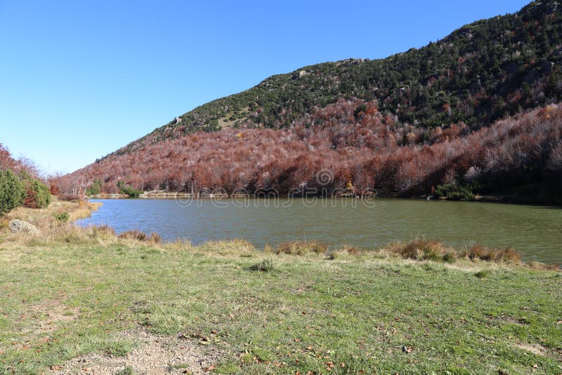 Lago imagen de archivo. Imagen de lodo, lago, hierba - 102018333