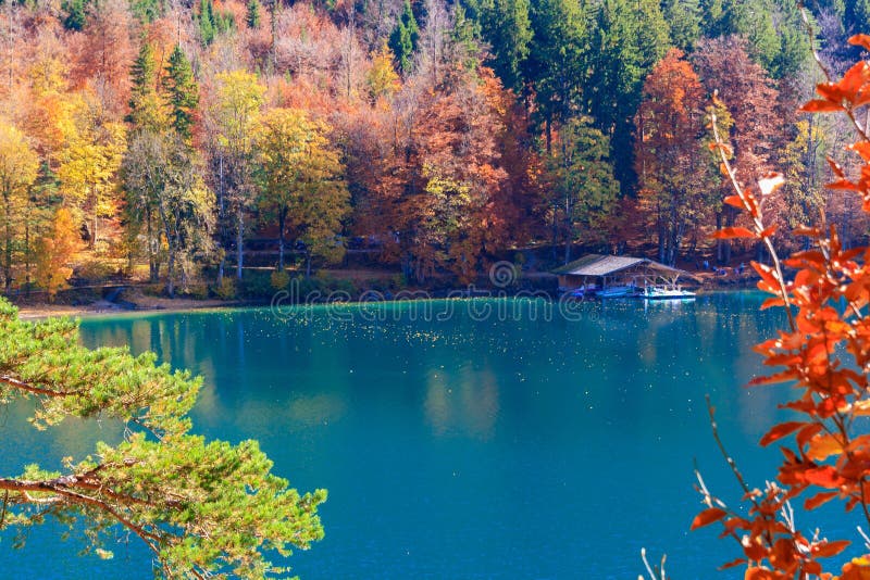 Lago Azul Alpsee En El Bosque Verde Y Las Montañas Hermosas De Las ...